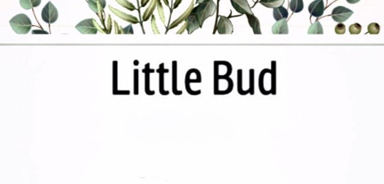 NFC Little Bud - Thetford Bubbly Hub