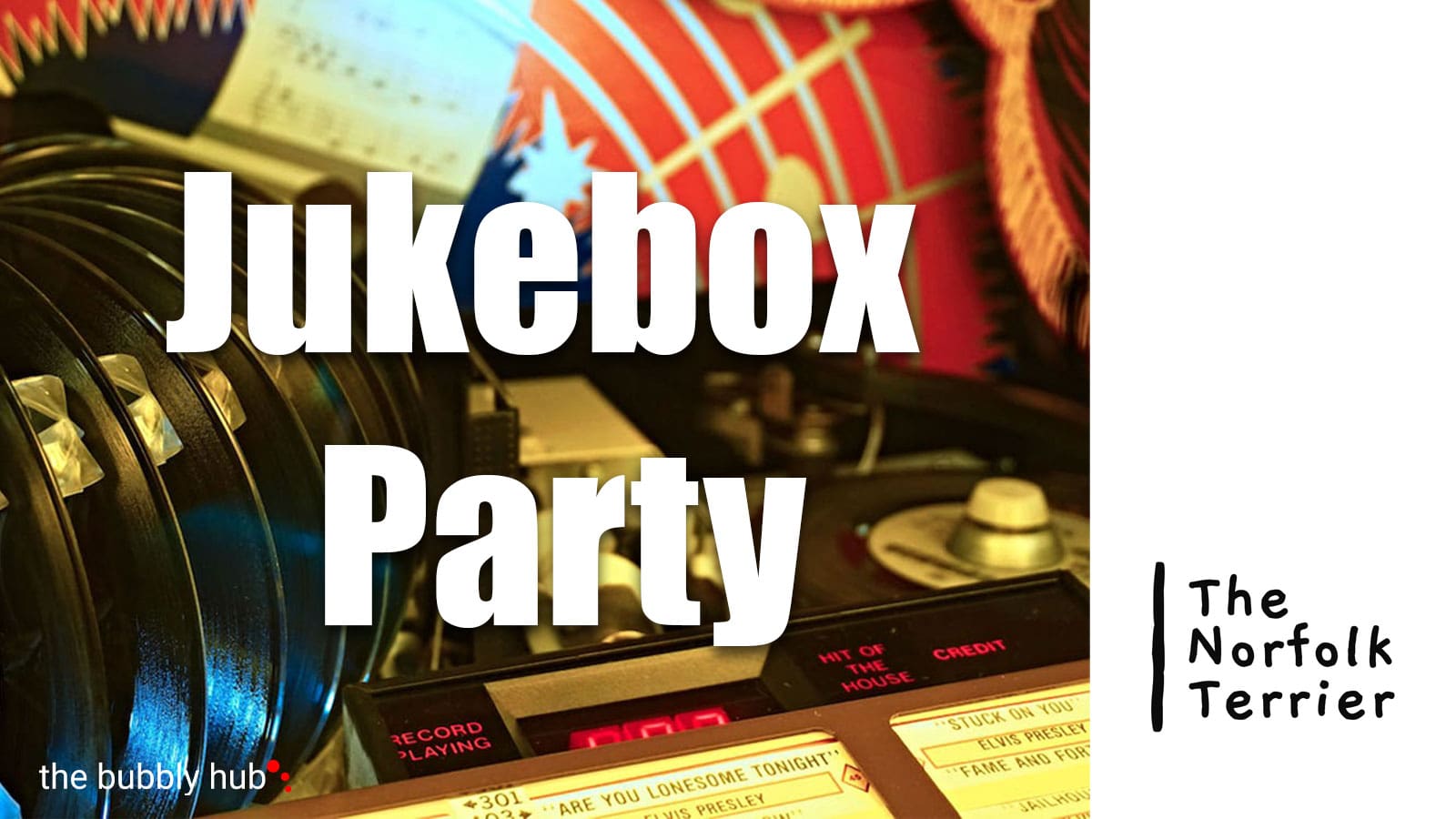 The Norfolk Terrier - Thetford Bubbly Hub